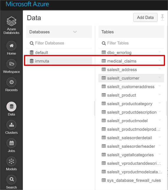 What is Immuta and how does it improve data governance in Databricks ...
